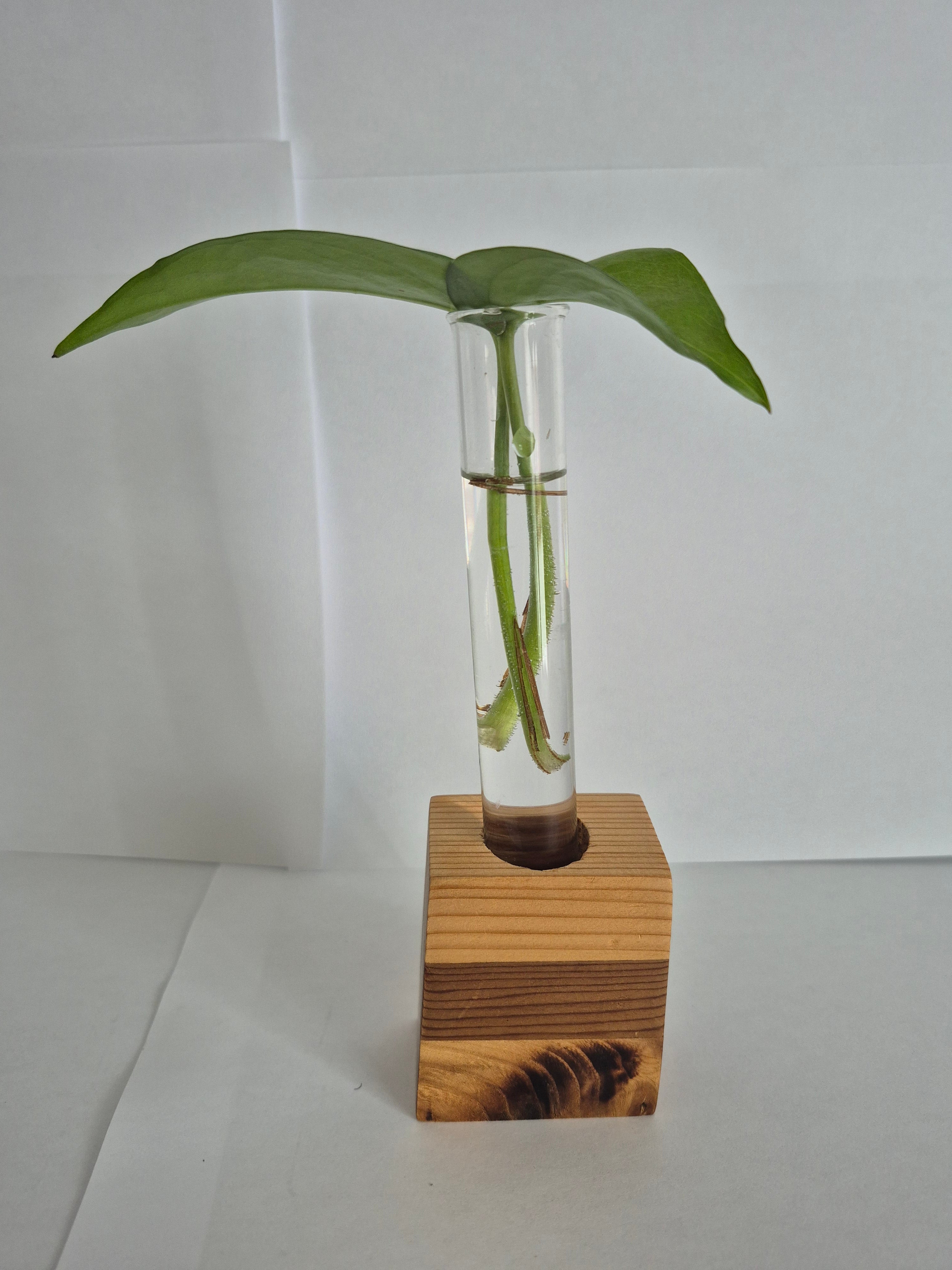 Mini Sproutie – SPROUT